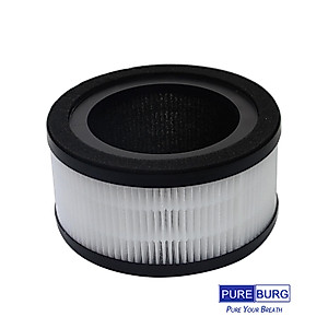 PUREBURG True HEPA Filter Compatible with InvisiClean IC-2010 Stella Air Purifier,H13 Replacement 4-Stage Filtration High-efficiency Activated carbon 2-IN-1 Air Clean Dust VOCs,2-Pack