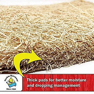 Cackle Hatchery Laying Hen Nest Box Pads - 13" x 13" (6 Pack)