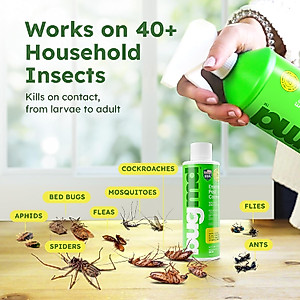 BugMD Ant Killer & Bug Spray Concentrate - Roach and Cockroach Killer Indoor, Spider & Flea Spray for Home, Fly and Insect Defense, Safe with Essential Oils, Plant-Powered, Pest Control Kit