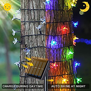 JMEXSUSS 2 Pack Flower Solar String Lights, Each 30.6FT 50LED Solar Lights Outdoor Waterproof, Cherry Blossoms Solar Fairy Lights Decorations for Garden Yard Patio Christmas Tree Party Decoration