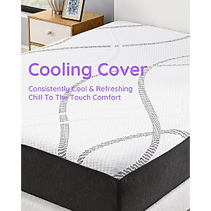 NAP&SLEEP Memory Foam Mattress - Lavender Infused with Cold Touch Cover, Medium Firm to Plush Feel, Helps with Sleep - Sizes Full, Queen, King, 10", 12", 14" (12" Medium, King (U.S. Standard))