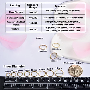 Lantine Gold Hinged 20g Cartilage Earring Hoop Nose Rings 6mm 8mm 10mm Set Clicker Triple Double Forward Helix Hoops Earrings(3Pcs a Set)