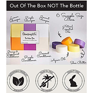 Cleansing & Co Natural Shampoo Bar and Conditioner Bar 6 Piece Sampler - Eco-Friendly, Zero Waste, 100% Compostable, Hand Made Bar Shampoo and Conditioner Bar Set for Hair (3xShampoo & 3x Conditioner)