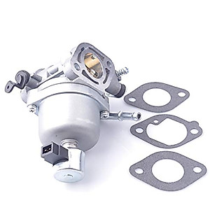 Dosens 699807 Carburetor Carb Compatible with Briggs Stratton 697722 491026 4045A7 699815 699814 74591 74592 74704 407577 Toro 74591 74592 74704 406577 AM135089