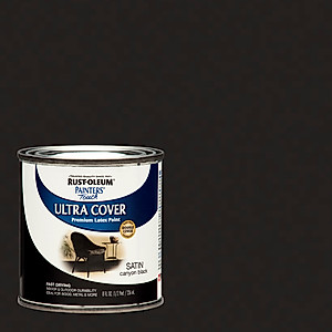 Rust-Oleum 267249-Painter's Touch Latex Paint, 1 Half Pint, Satin Canyon Black