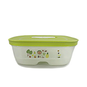 Tupperware Klimaoase Primaklima Fridgesmart Plus - Food Storage Container - Fridge-Safe - 800 Ml - Green