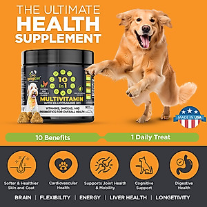 Googipet Multivitamin 2 Pack Bundle - 1 90 Count Chicken & Vegetable Flavor + 1 90 Count Peanut Butter & Pumpkin Flavor