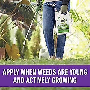 Roundup for Lawns₄ Ready-To-Use (Southern) - All-in-One Weed Killer for Lawns, Extended Reach Wand, 1 gal.