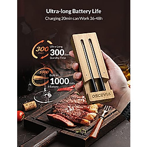 Smart Meat Thermometer, OSCEVIA 2-Probe Food Thermometer with Smart Alert, 262ft Wireless Range, IP67 Waterproof, Magnetic Design for BBQ, Kitchen, Air Fryer, Garden, Oven, Grill, Rotisserie