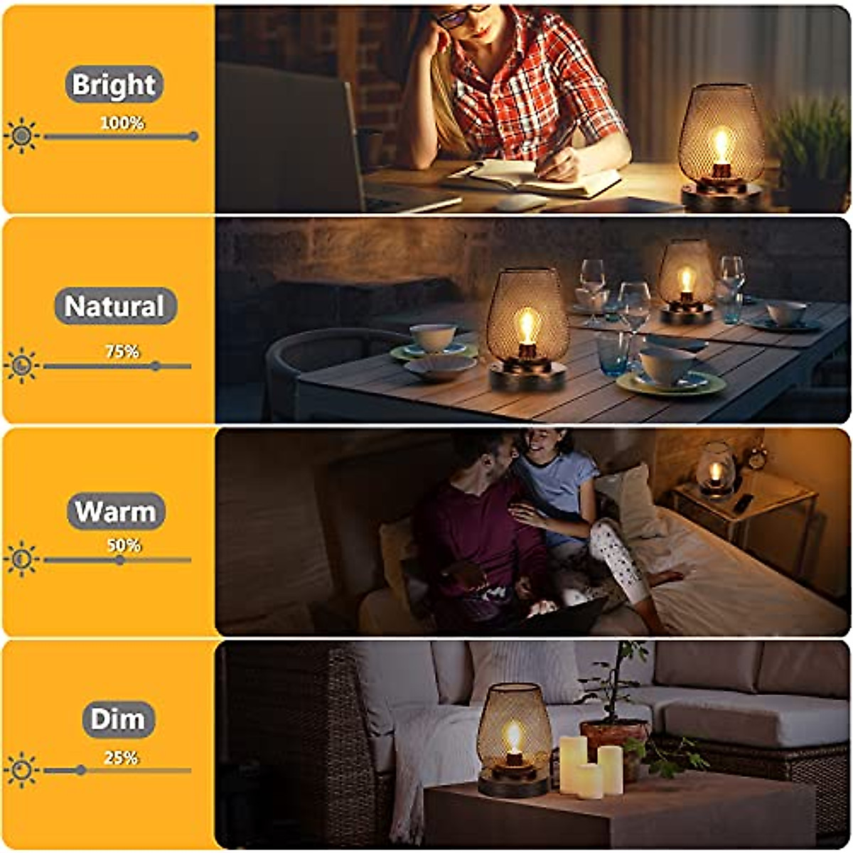 UBright Table Lamp Metal Cage LED Lantern Rechargeable with 4 Lighting Mode Cordless Lamp Decorative Light Outdoor Table Lamps for Patio Bedroom Living Room Indoors Outdoors (Bulb Included) (1 Pack)