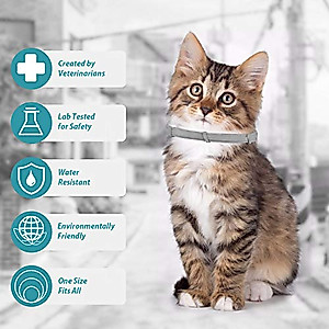 Flea and Tick Collar for Cats,8 Month Flea and Tick Treatment and Prevention for All Sizs Cats,Adjustable and Waterproof,100% Natural Ingredients,Include Tick Removal Tools,2 Pack