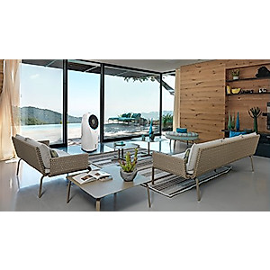 DeLonghi America America Portable Evaporative Cooler, White