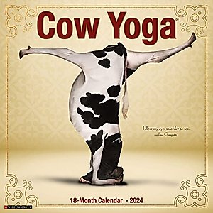 Willow Creek Press Cow Yoga Monthly 2024 Wall Calendar (12" x 12")