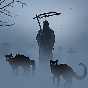 FEQO 9 Piece Outdoor Yard Decorations - Black Cat Halloween Silhouette Garden Stakes