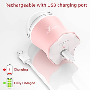 Facial Cleansing Brush 3 Modes Face Cleansing Brush with 3 Replacement Brush Heads, Rotating Face Brush for Deep Cleansing