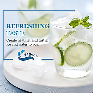 Vegebe Inline Water Filter for Ice Maker, Refrigerator, Under-Sink Reverse Osmosis Water System, Post Activated Carbon Water Filter Replacement Cartridge with 1/4-Inch Quick-Connect (Pack of 2)