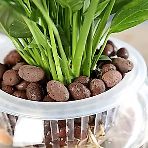 Halatool 4LB Leca Clay Pebbles for Plants 4mm-16mm Lightweight Clay Balls 100% Natural Hydro Balls for Aquarium Potted Plants Hydroponic Growing Gardening Orchids Drainage Decoration Aquaponics