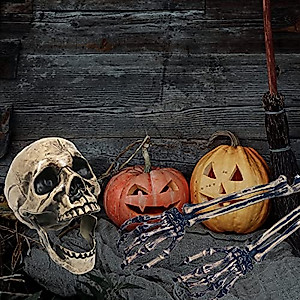 Sunnyglade Realistic Skeleton Stakes Halloween Decoration Scary Ground Breaker Skull and Skeleton for Outdoor Yard Lawn Stake Garden Graveyard Decoration