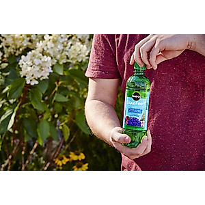 Miracle-Gro LiquaFeed Flowering Trees & Shrubs Plant Food 2-Pack Refills