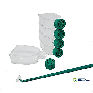 SPL Cell Culture Flask 25 cm² (T25) Filter Cap, Treated, Sterile, 200/Case