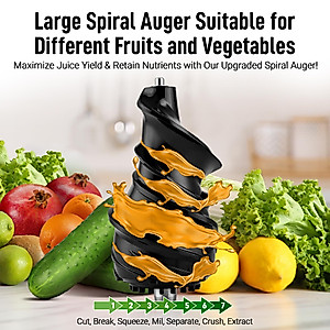 Zulay Fruit Press Machine - Masticating Juicer Machine with High Yield, Quiet Motor, & Reverse Function - Cold Press & Carrot Juicer with Wide Chute - Slow Juicer Machines for Fruits & Vegetables