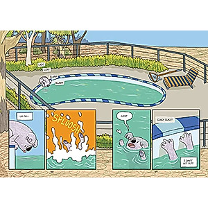 Surviving the Wild: Rainbow the Koala