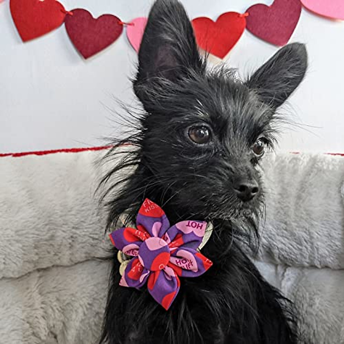 H&K Pet Pinwheel | Convo Hearts (Large) | Valentine's Day Velcro Collar Accessory for Dogs/Cats | Fun Pet Pinwheel Collar Attachment | Cute, Comfortable Pet Accessory