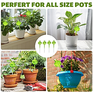 HYH Plant Watering Globes 4 Pack Self Watering Planter Spikes Insert for Indoor & Outdoor Plants Automatic Watering Device Self Flower Plant Watering Bulbs Made from Hand-Blown Glass Plant Lover Gifts