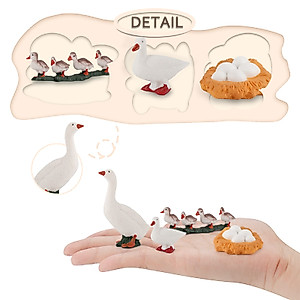 Life Cycle of Duck Figurines Animals Figurines Set Duck Toys Realistic Farm Animals Preschool Animals Figures Eduactional Project Diorama Model Toy for Kids