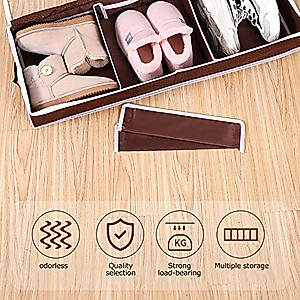 LIULDASHUN Clear Foldable Shoe Storage Boxes, Shoe Organizer Boxes, Adjust Dividers, Waterproof Shoes Storage Box with Zipper PVC Cover for Home Organization (L)
