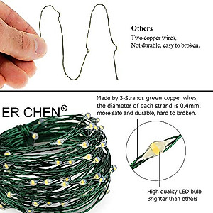 ER CHEN Dimmable LED String Lights Plug in, 66ft 200 LED Waterproof Fairy Lights with Remote, Indoor/Outdoor Copper Wire Christmas Lights for Bedroom, Patio, Garden, Yard (Green Wire, Warm White)