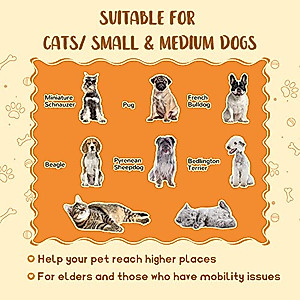 PawHut 2-in-1 Cat & Dog Steps for Bed, Living Room Storage & Footrest, Cat & Dog Stairs for Small and Medium Dogs, Pet Steps Storage Ottoman, Cat Stairs for Old Cats and Large Cats, Gray