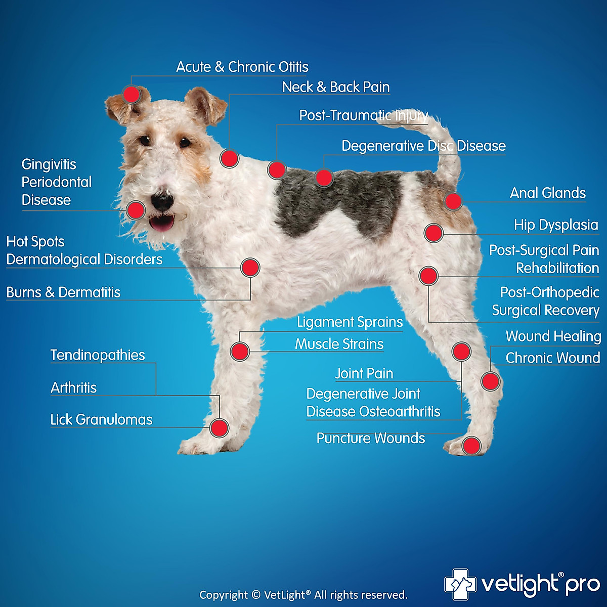 SHINE VetLight® Pro Portable Red Light Device for Pet Wellness - Professional-Grade Therapy for Home Use