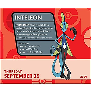 Pokémon 2024 Day-to-Day Calendar