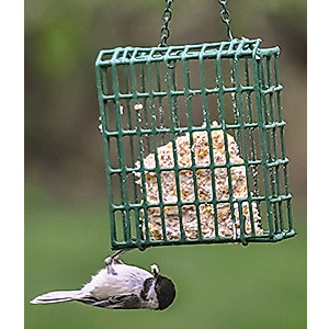 C&S Apple Treat 11.75 Ounces, 12 Pack