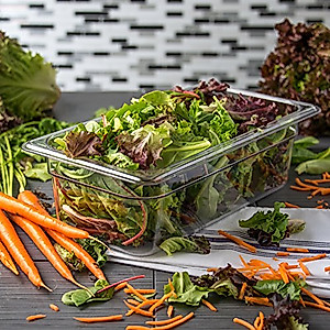 Carlisle FoodService Products Plastic Food Pan 1/3 Size 4 Inches Deep Clear