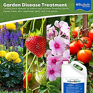 BioSafe Systems ZeroTol HC, Broad Spectrum Algaecide, Bactericide, and Fungicide, Peroxyacetic Acid, Kills Mold, Single 6200-1, 1 Gallon
