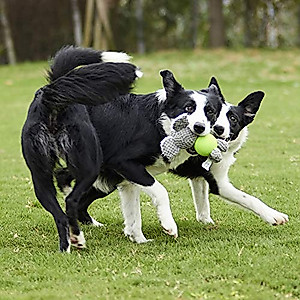 ONTWOPETS Dog Toy Plush Durable Small Dog Toys Low Stuffing Interactive Dog Plush Toys W/Squeaker Puppy Chew Toys Reduces Boredom (Small, Koala with Squeaker Rubber Ball Body)