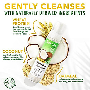 TropiClean Hypoallergenic Waterless Dog Shampoo | Dry Shampoo for Dogs With Sensitive Skin | Natural Dog Shampoo Derived from Natural Ingredients | Cat Friendly | Made in the USA | 7.4 oz