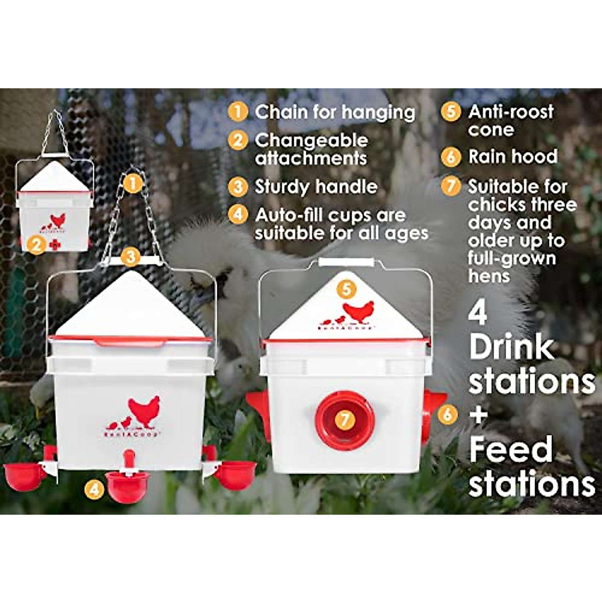 RentACoop Chick2Chicken 10lb Feeder & 2 Gal Waterer Set with Gravity Feed Refill & Auto-Fill Cups - BPA-Free Food & Water Buckets for Up to 20 Chicks or 12 Adult Chickens