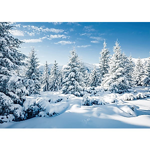 LTLYH 7x5ft Christmas Backdrops for Photography Winter Scene Backdrop Winter Landscape Forest Ice and Snow World Theme Backdrop 106