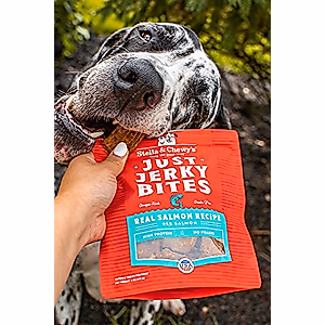 Stella & Chewy's Just Jerky Bites Real Beef Recipe Dog Treats, 6 oz. Bag