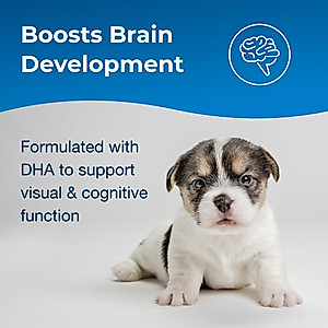 PetAg Esbilac 2nd Step Puppy Weaning Food - 14 oz, Pack of 2 - Powdered Puppy Weaning Formula with DHA, Natural Milk Protein, Vitamins & Minerals for Puppies 4-8 Weeks Old - Easy to Digest