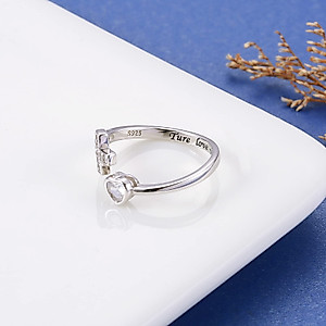 APOTIE 925 Sterling Silver Cross Ring - True Love Wait Purity Ring Cubic Zirconia Adjustable Ring Jewelry Gift for Women