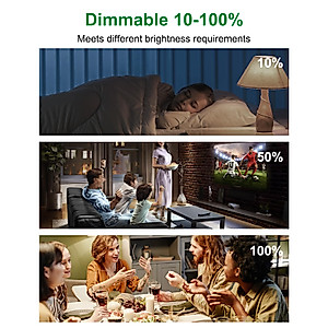 AUZOSL G9 Halogen Bulbs, 12 Pack, 120V, 40W, Dimmable, T4 2 Pin Base, 2700K Warm White (40, Watts)