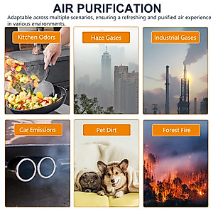 2 Pack 250/250S Air Purifier Replacement Filter Compatible with Coway Airmega 250/250S Air Purifiers, Max 2 Green True HEPA and Active Carbon Filter