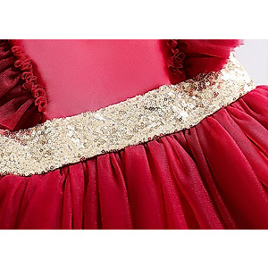 KLFFLGID Baby Girl Sequins Bowknot Dresses Toddler Flower Girl Birthday Wedding Party Dresses for Girls Pageant Ball Gown Size 90 (Wine Red)