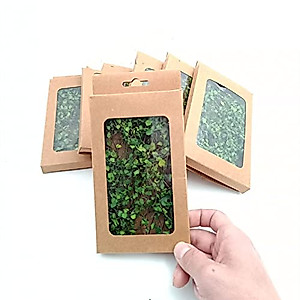 Realistic Miniature Vines Simulation Vine for DIY Mini Model Railway Fairy Garden Architecture Diorama Scenery Landscape Layout