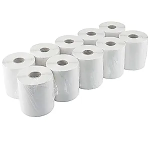 L LIKED 10 Rolls 4" x 6" Direct Blank Thermal Shipping Labels with 250 Labels/Roll - Compatible Zebra 2844 ZP-450 ZP-500 ZP-505
