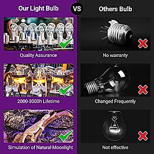 REPTI ZOO 2 Pack Reptile Heat Lamp, 75W Infrared Heat Lamp Simulate Natural Moonlight, Purple Reptile Night Heat Bulb Heat Emitter for Reptile Pets Heating Night Use